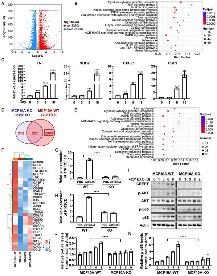 Microenvironment-induced CREPT expression by cancer-derived small ...