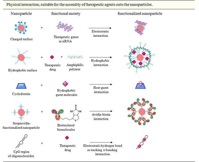 Targeting Strategies for Multifunctional Nanoparticles in Cancer ...
