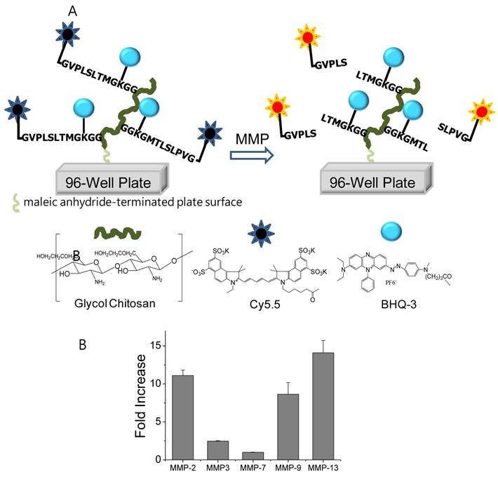 Measurement of MMP Activity in Synovial Fluid in Cases of ...