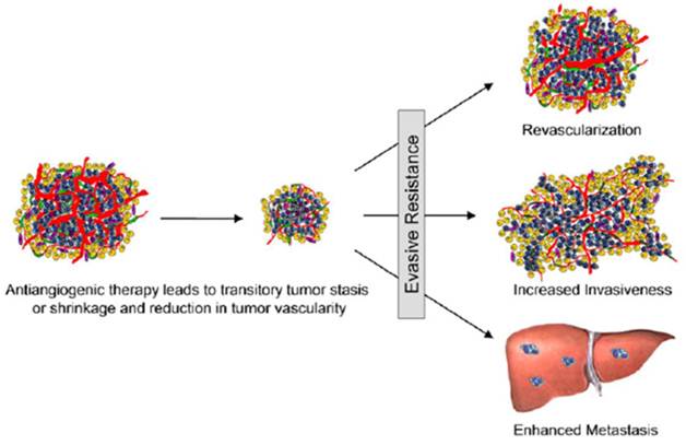Imaging Key Biomarkers of Tumor Angiogenesis