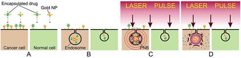 Plasmonic Nanobubbles Rapidly Detect and Destroy Drug-Resistant Tumors