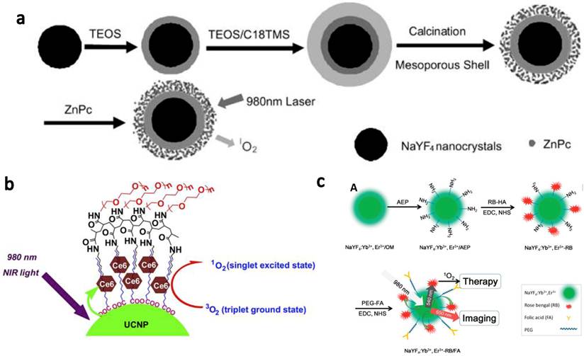 Upconversion Nanoparticles for Photodynamic Therapy and Other Cancer ...