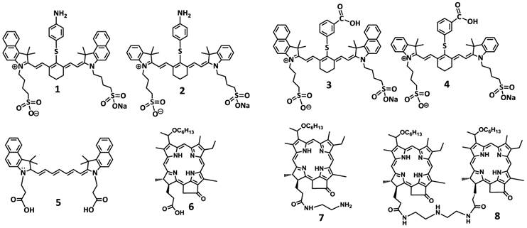 Comparative Tumor Imaging and PDT Efficacy of HPPH Conjugated in the ...