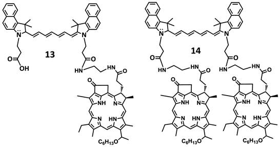 Comparative Tumor Imaging and PDT Efficacy of HPPH Conjugated in the ...