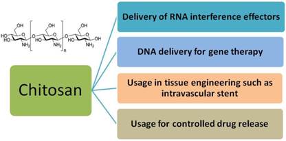 Current Progress in Gene Delivery Technology Based on Chemical Methods ...