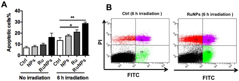 Photosensitive Fluorescent Dye Contributes to Phototoxicity and ...