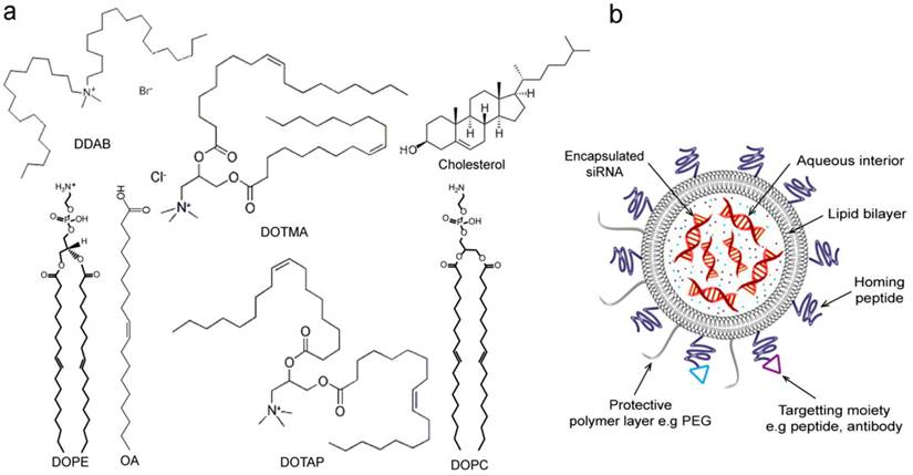 Nanoparticle-Mediated Systemic Delivery of siRNA for Treatment of ...