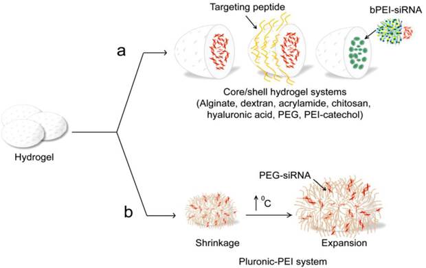 Nanoparticle-Mediated Systemic Delivery of siRNA for Treatment of ...