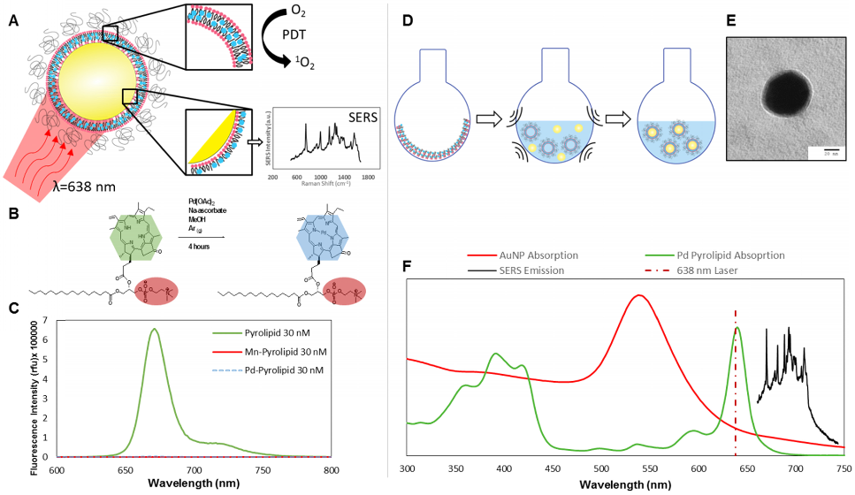Nano-Enabled SERS Reporting Photosensitizers