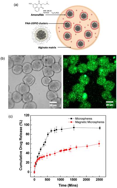 MRI Visible Drug Eluting Magnetic Microspheres for Transcatheter Intra ...