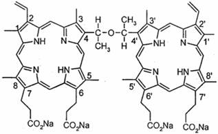 Analysis of the In Vivo and In Vitro Effects of Photodynamic Therapy on ...