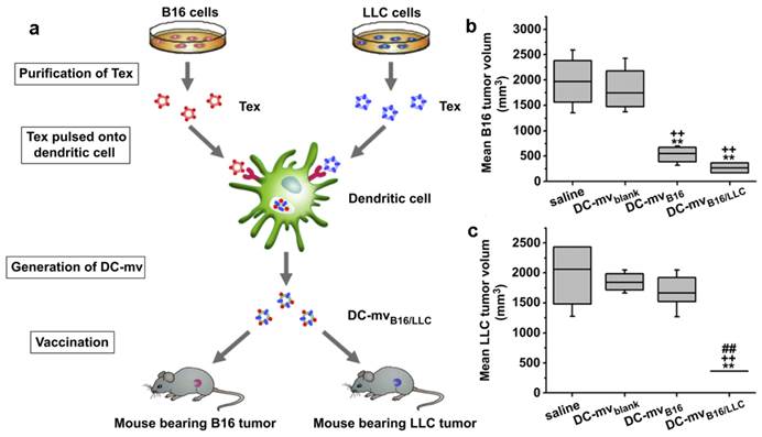 Cell or Cell Membrane-Based Drug Delivery Systems