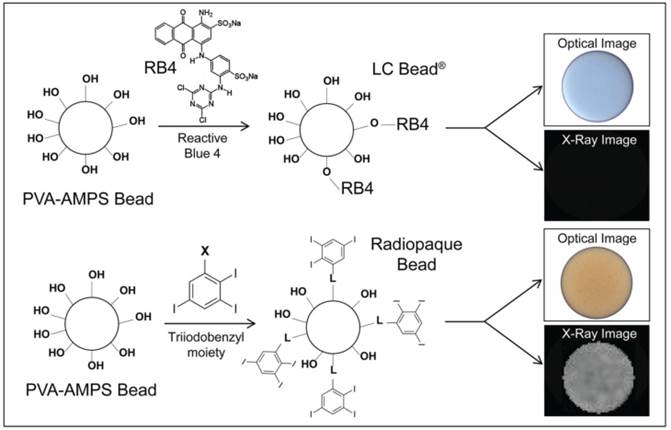 A Novel Inherently Radiopaque Bead for Transarterial Embolization to ...