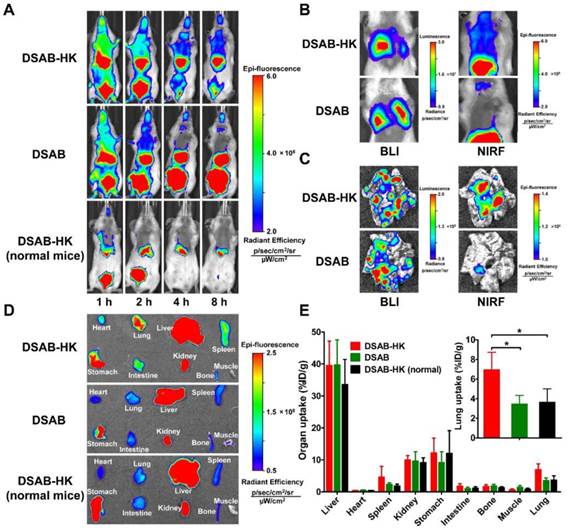 Enhanced Anti-Tumor Efficacy through a Combination of Integrin αvβ6 ...