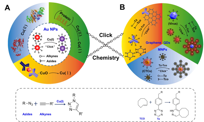 Click Chemistry-Mediated Nanosensors for Biochemical Assays