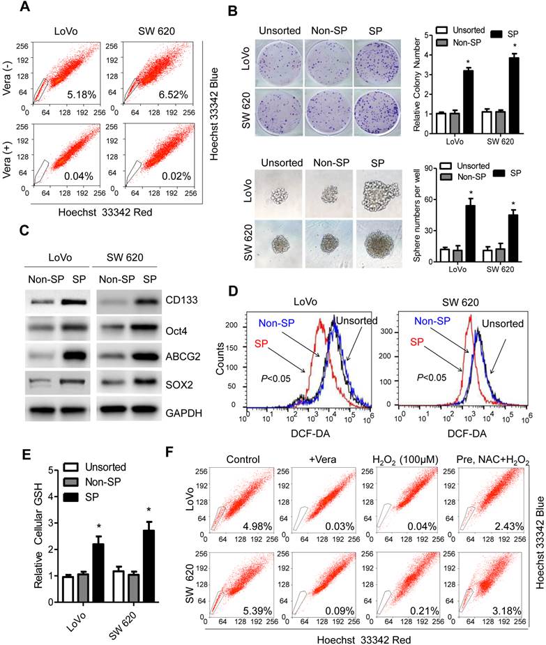 Redox Regulation of Stem-like Cells Though the CD44v-xCT Axis in ...