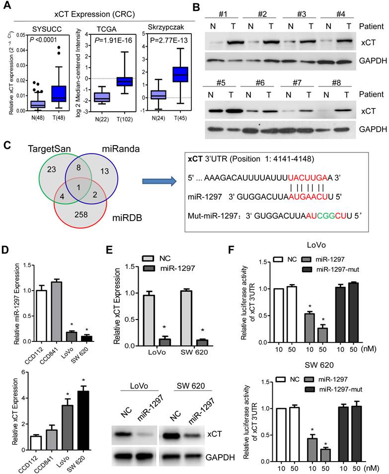 Redox Regulation of Stem-like Cells Though the CD44v-xCT Axis in ...