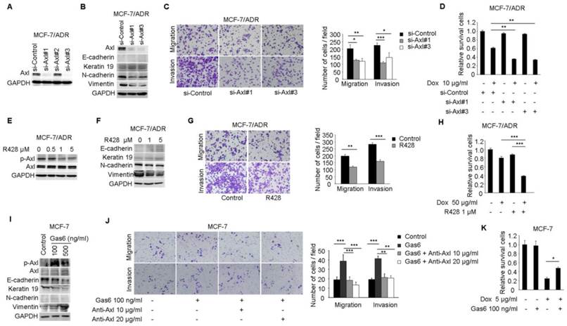 Gas6/Axl Axis Contributes to Chemoresistance and Metastasis in Breast ...