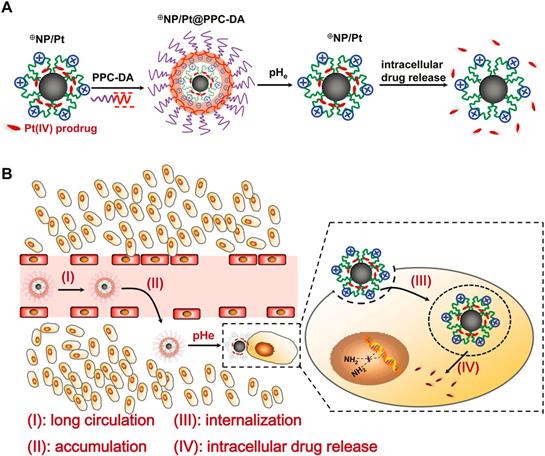 The Smart Drug Delivery System and Its Clinical Potential
