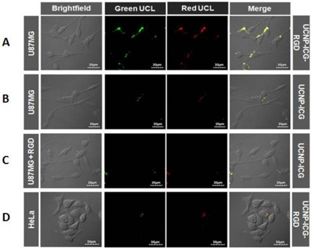 Novel Cs-Based Upconversion Nanoparticles as Dual-Modal CT and UCL ...