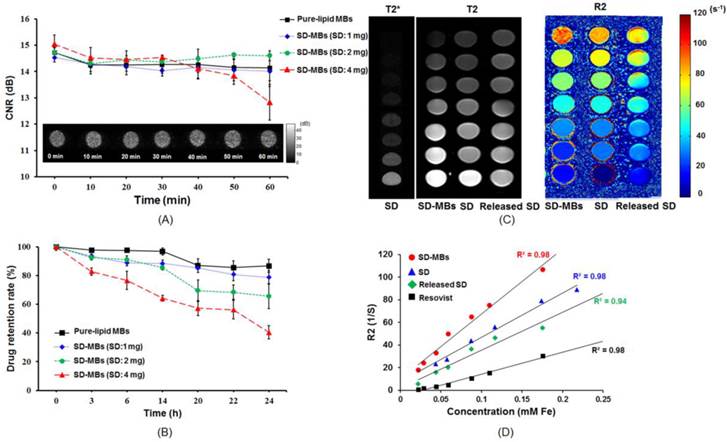 Ultrasound/Magnetic Targeting with SPIO-DOX-Microbubble Complex for ...