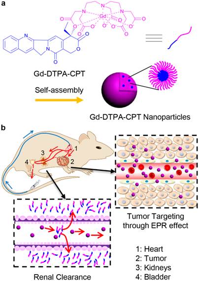 Cancer Theranostic Nanoparticles Self-Assembled from Amphiphilic Small ...