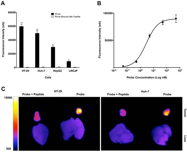 Optical Imaging of Mesenchymal Epithelial Transition Factor (MET) for ...