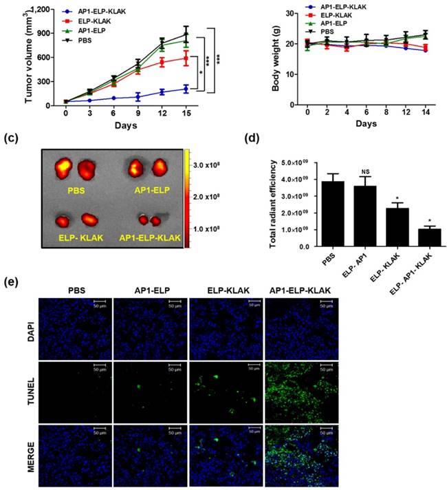 Multivalent Targeting Based Delivery of Therapeutic Peptide using AP1 ...