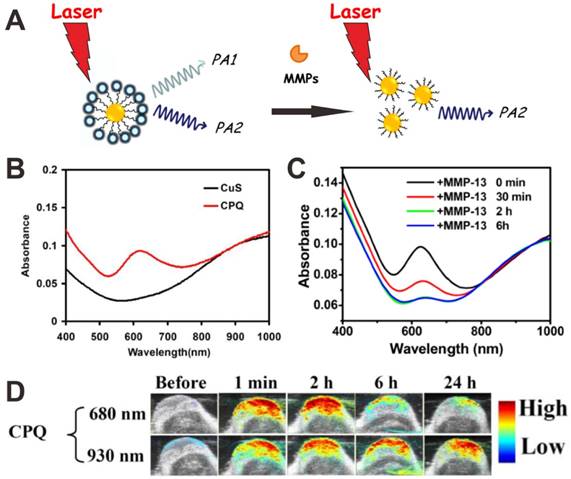 Recent Advances in Photoacoustic Imaging for Deep-Tissue Biomedical ...