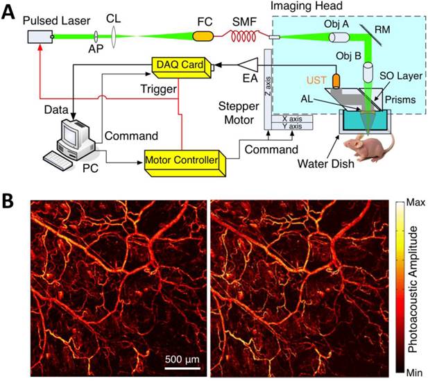 Advances in Imaging Techniques and Genetically Encoded Probes for ...