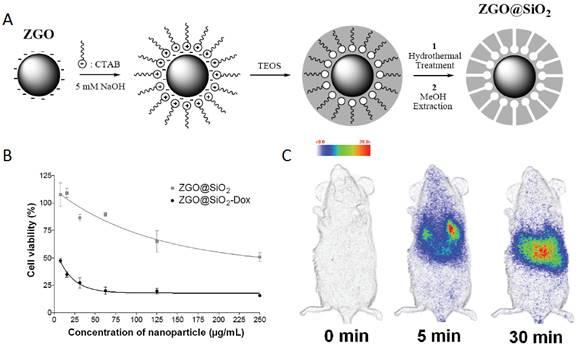 Chemically engineered persistent luminescence nanoprobes for bioimaging