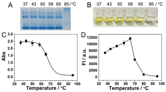 From Interface to Solution: Integrating Immunoassay with Netlike ...