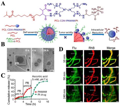 Current Multistage Drug Delivery Systems Based on the Tumor ...