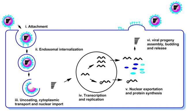 Progress of small molecular inhibitors in the development of anti ...