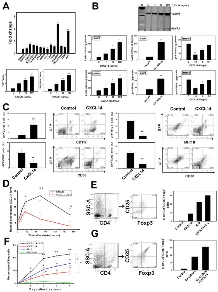 A Crucial Role of CXCL14 for Promoting Regulatory T Cells Activation in ...