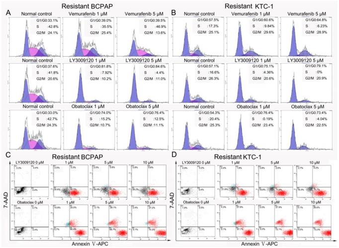 Obatoclax and LY3009120 Efficiently Overcome Vemurafenib Resistance in ...