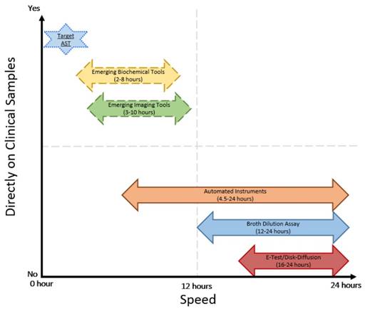 Current and emerging techniques for antibiotic susceptibility tests
