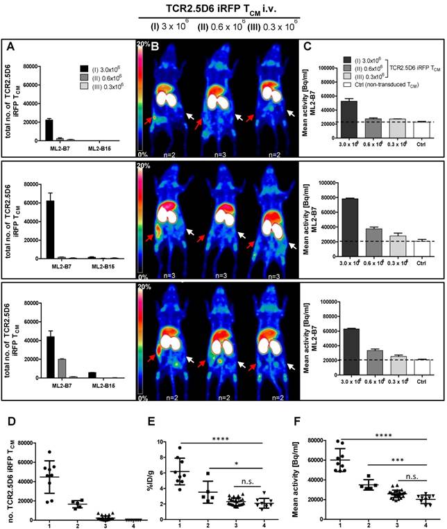 In-depth Characterization of a TCR-specific Tracer for Sensitive ...