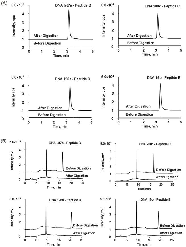 A Combination of DNA-peptide Probes and Liquid Chromatography-Tandem ...