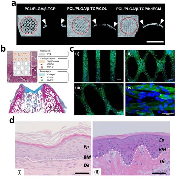 3D Cell Printed Tissue Analogues: A New Platform for Theranostics