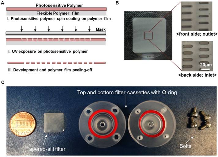 Label-free Rapid Viable Enrichment of Circulating Tumor Cell by ...