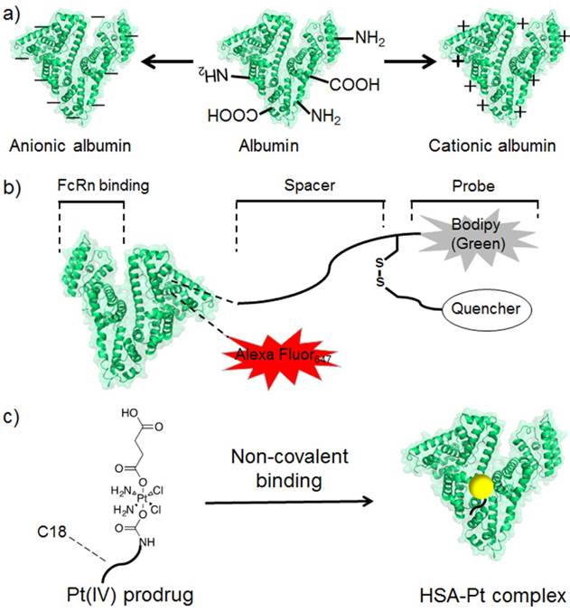 Strategies for Preparing Albumin-based Nanoparticles for ...