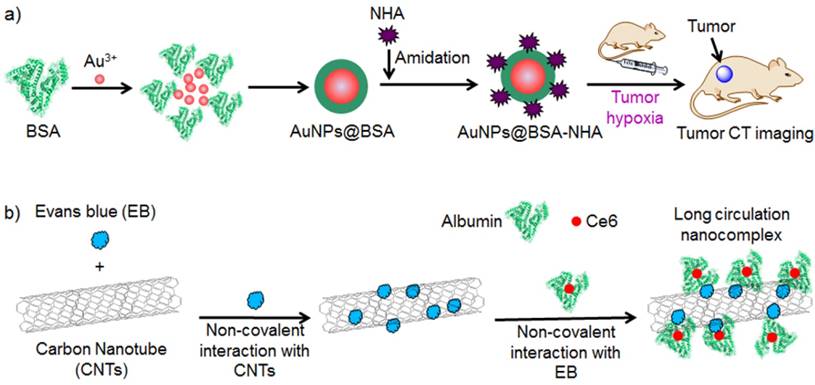 Strategies for Preparing Albumin-based Nanoparticles for ...