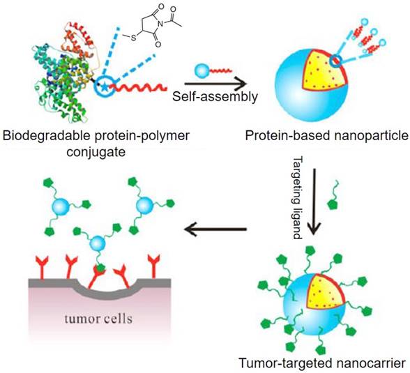 Strategies for Preparing Albumin-based Nanoparticles for ...