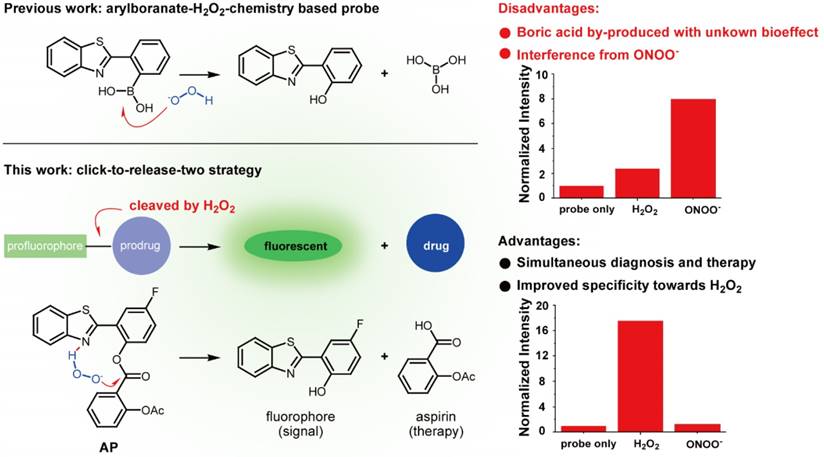 A H2O2-Responsive Theranostic Probe for Endothelial Injury Imaging and ...