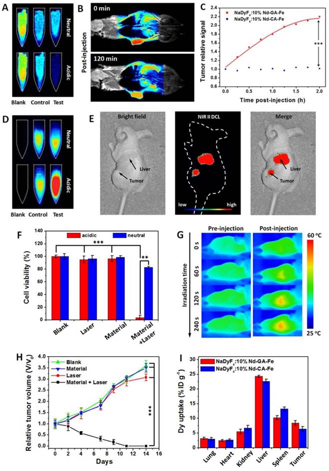 Ultra-small pH-responsive Nd-doped NaDyF4 Nanoagents for Enhanced ...