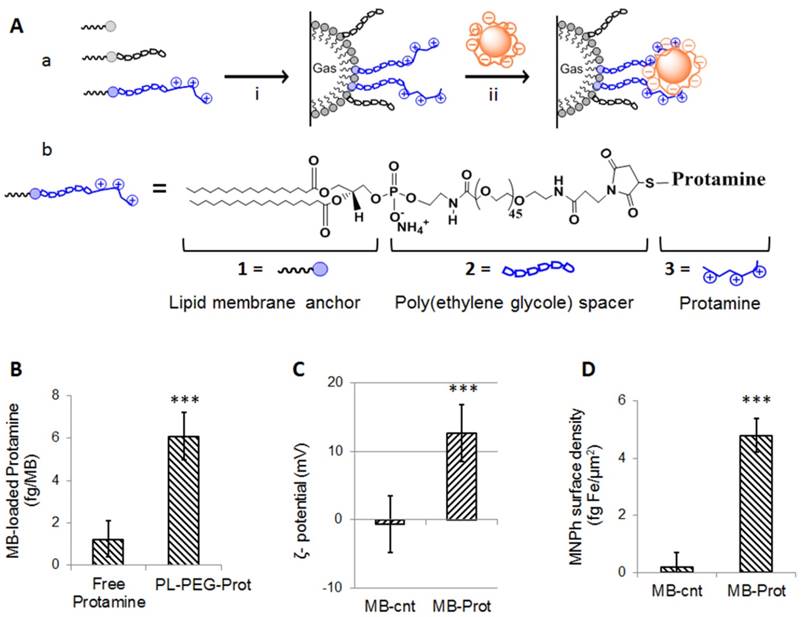 Circulating Magnetic Microbubbles for Localized Real-Time Control of ...