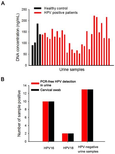 A Versatile Nanowire Platform for Highly Efficient Isolation and Direct ...