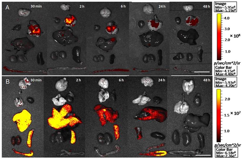 Local Intratracheal Delivery of Perfluorocarbon Nanoparticles to Lung ...