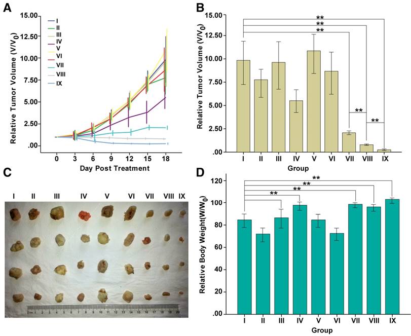 Enhanced Synergism of Thermo-chemotherapy For Liver Cancer with ...